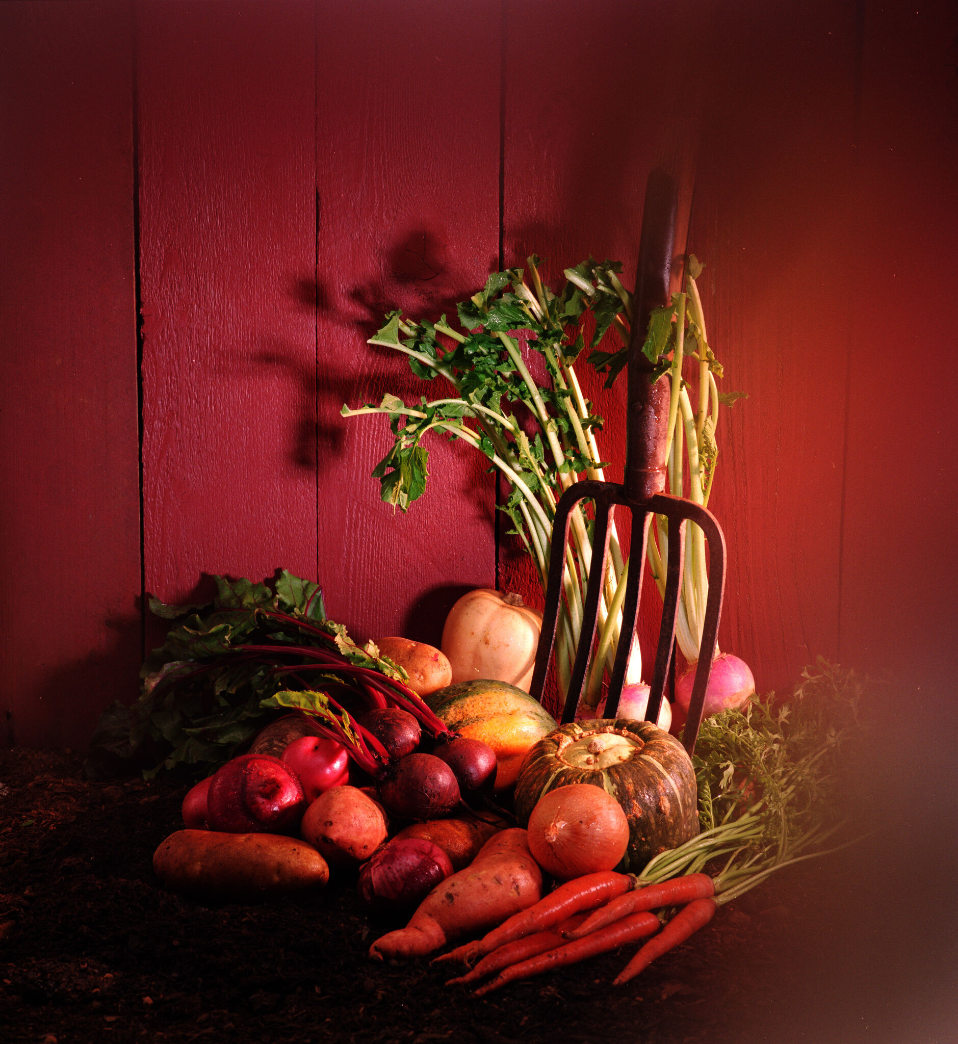 Michael Potter: Fall a wonderful time of year for vegetable gardens