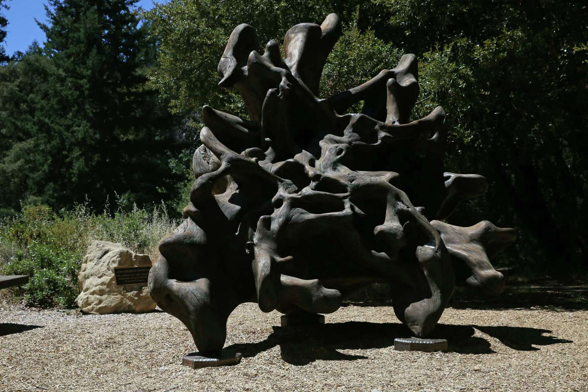 California State Parks expand with Santa Cruz Mountains addition