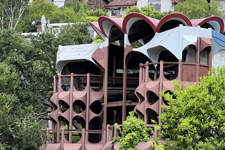 Home with flower roof and sweeping views of SF Bay hits market