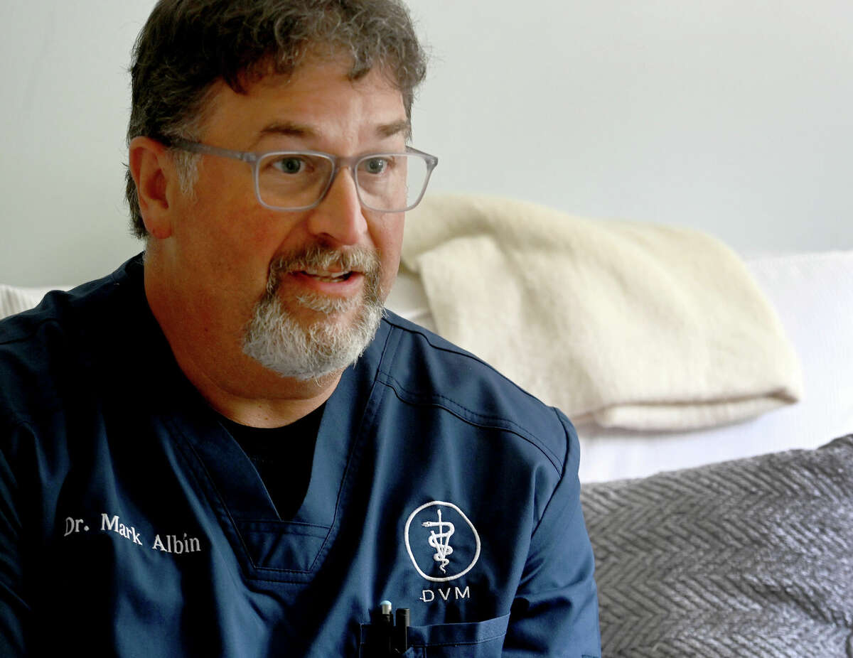 'Getting doctors is difficult': Why CT vets are under pressure