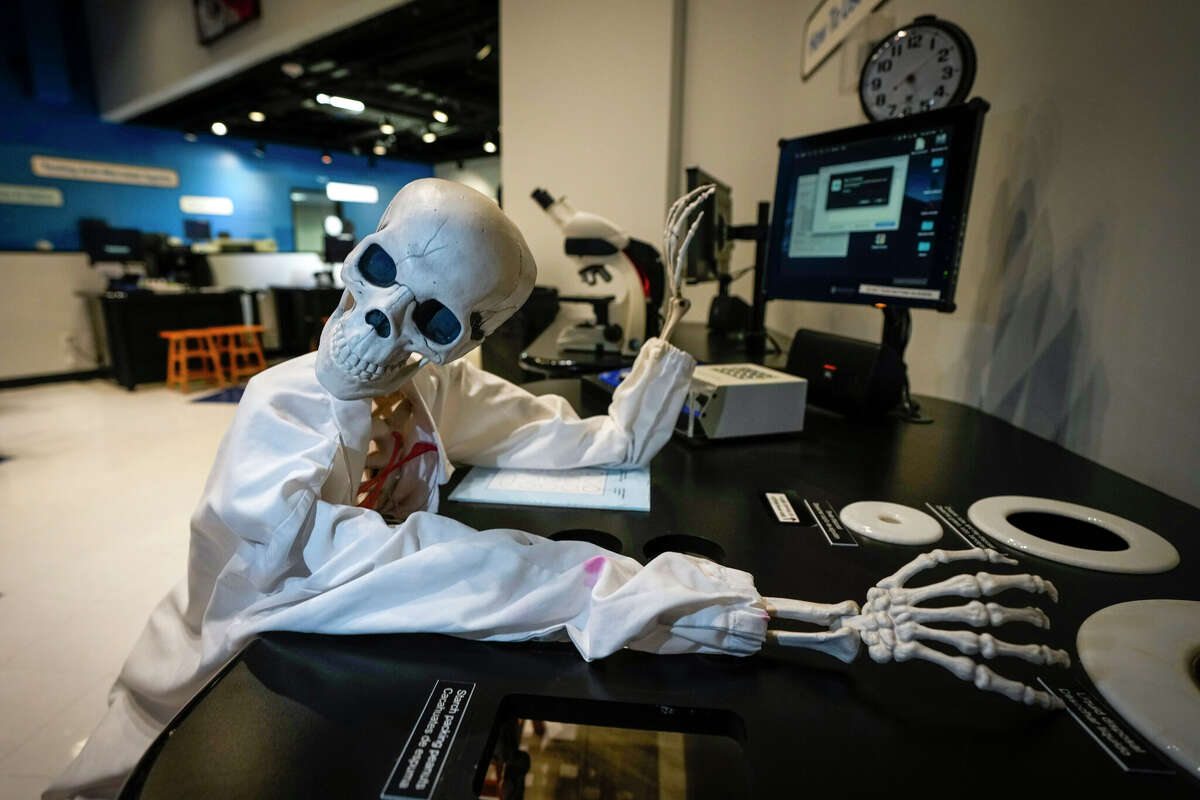 Through humor and science, Health Museum makes the body the attraction