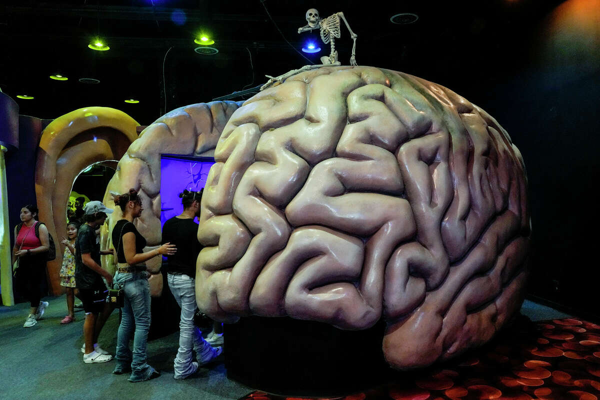 Through humor and science, Health Museum makes the body the attraction