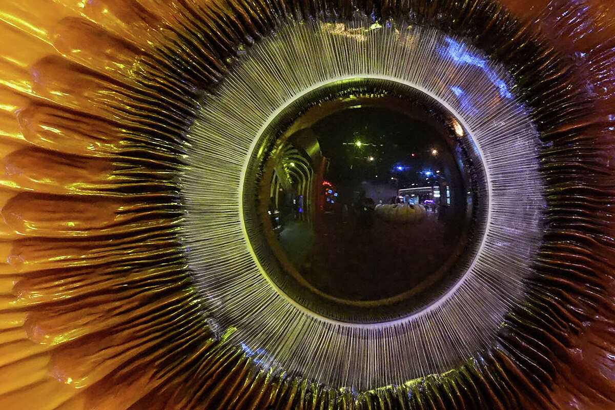 Through humor and science, Health Museum makes the body the attraction