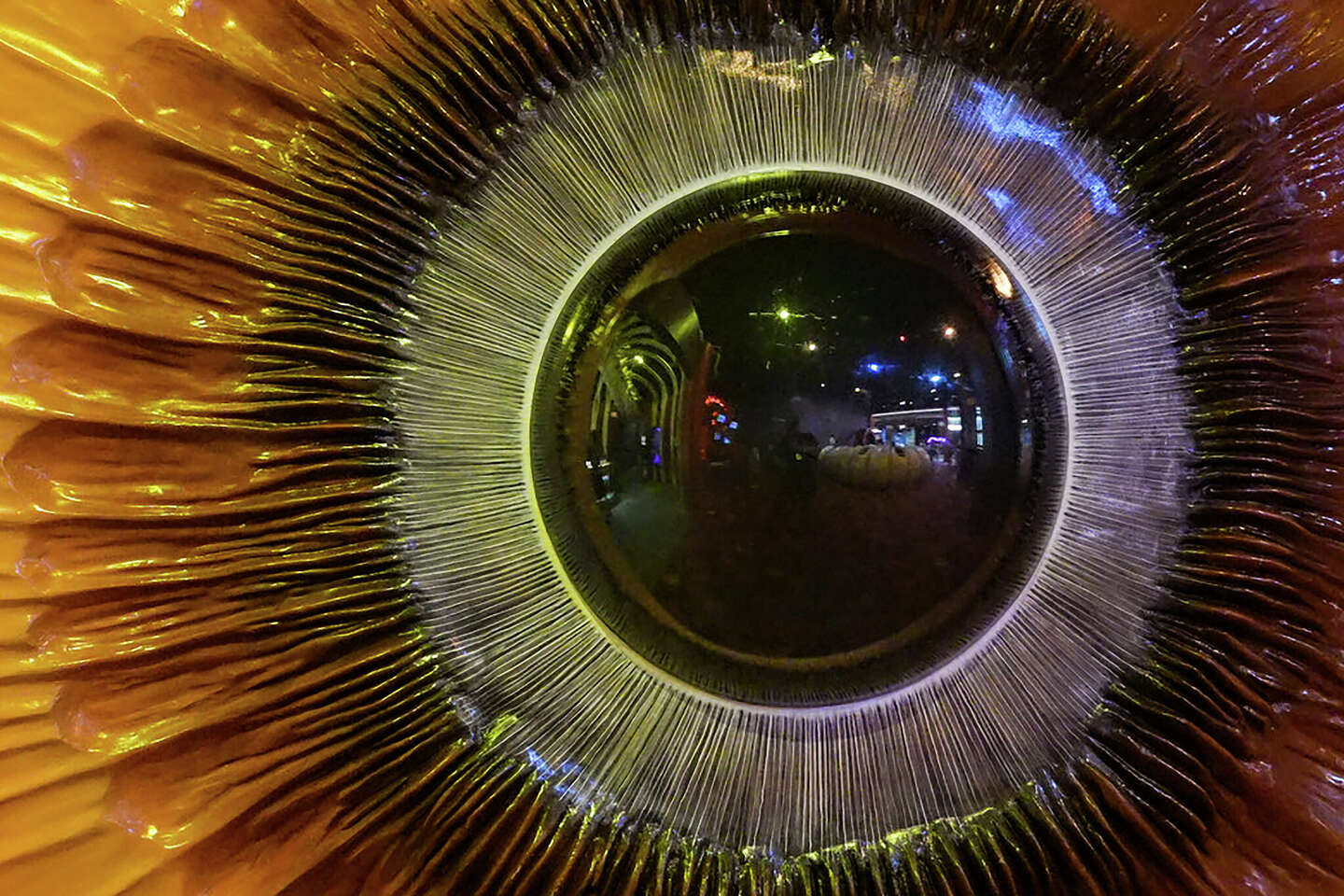 Through humor and science, Health Museum makes the body the attraction