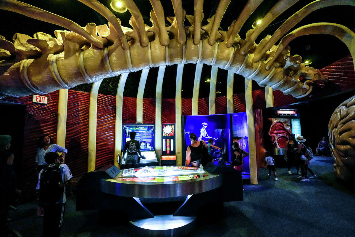 Through humor and science, Health Museum makes the body the attraction