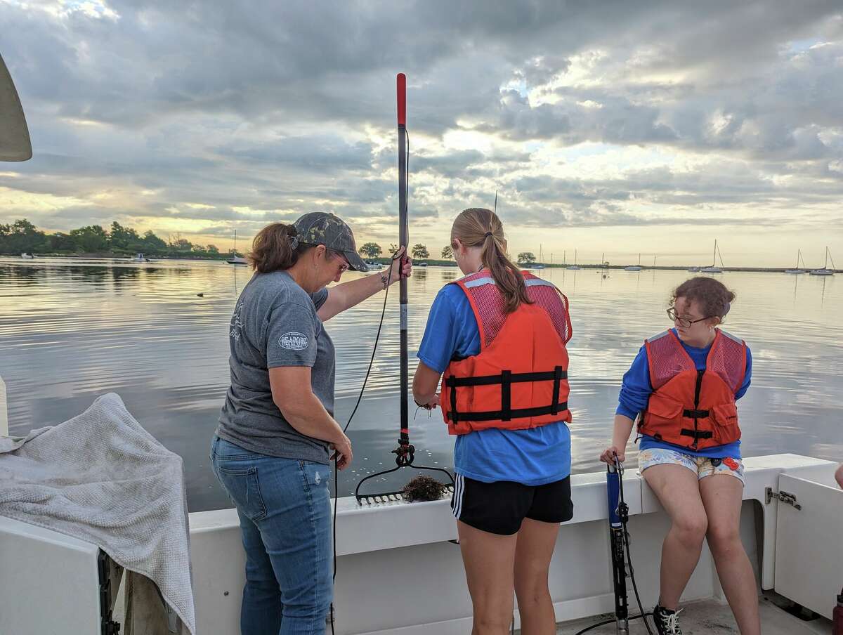 Bridgeport students collect seaweed at dawn to protect clean water
