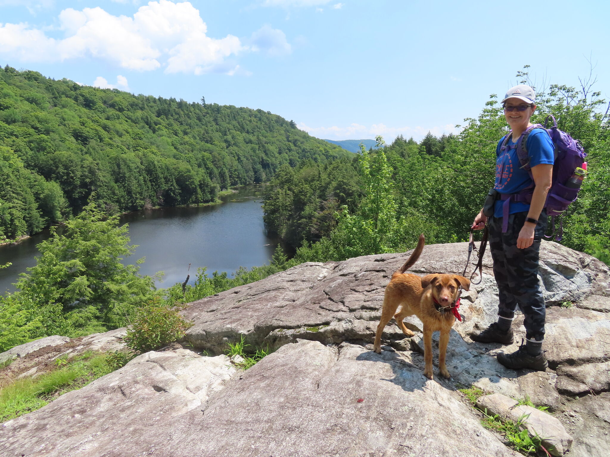 Blueberries make Buck Mountain hike more than worth the trip