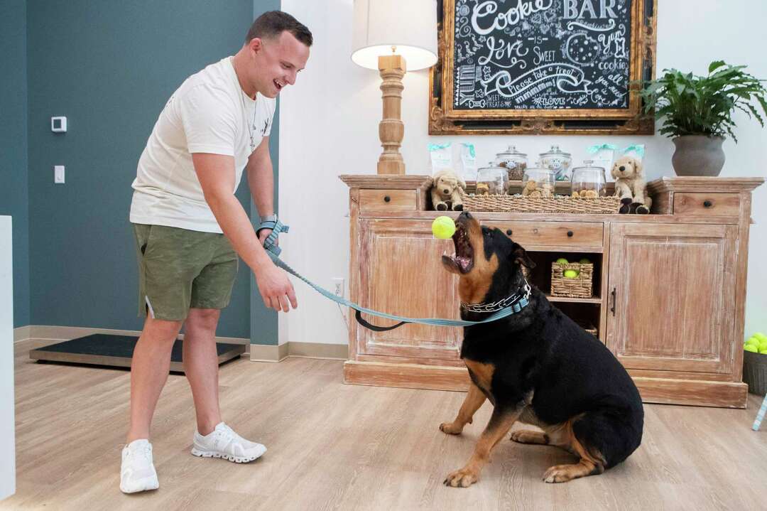 Woodlands vet clinic for cancer treatment opens with pet daycare