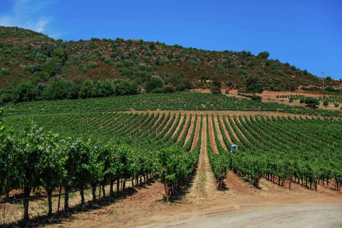 Moon Mountain makes beautiful, complex wines