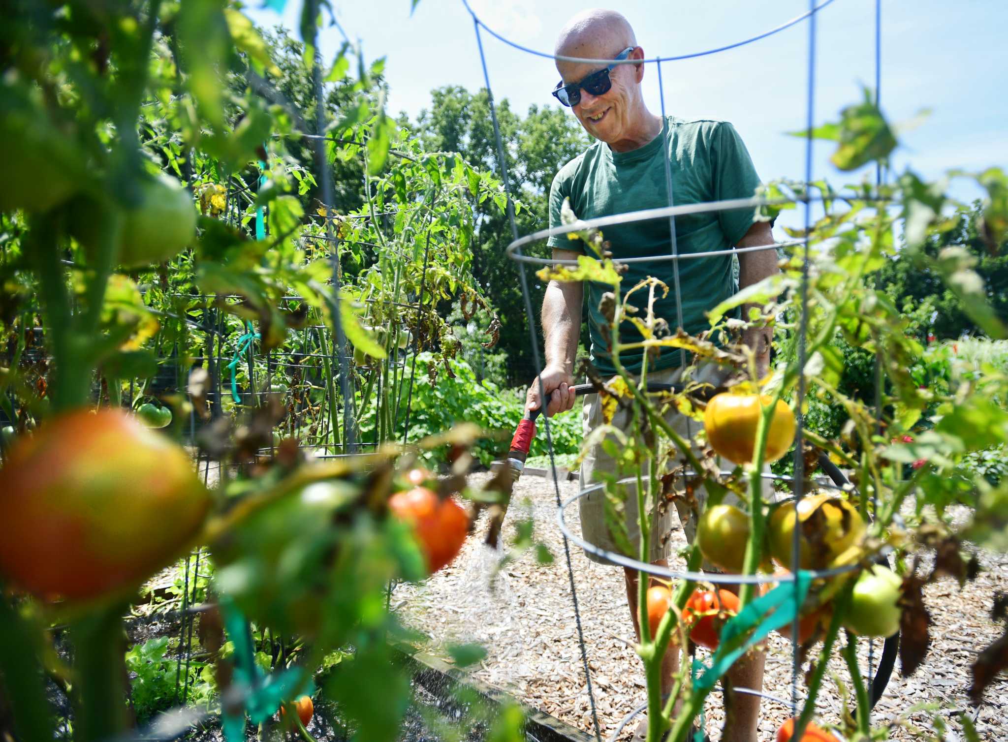 Parks and Rec votes to move garden for fields at Long Lots in Westport