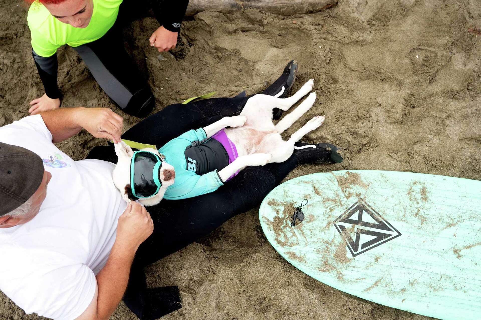 Surfing dogs ride waves to fame at world championships in Pacifica