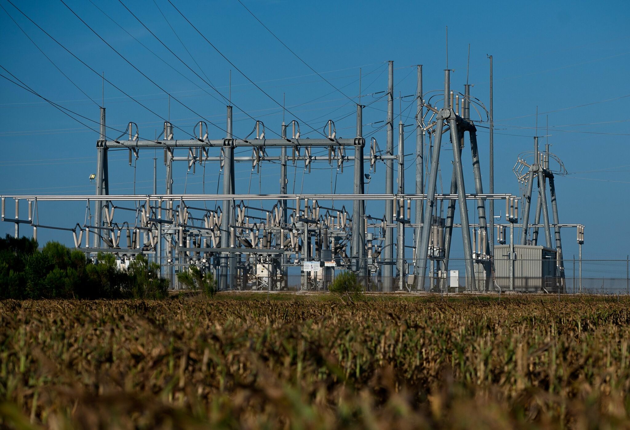Texas power grid holds up during string of 100-degree days