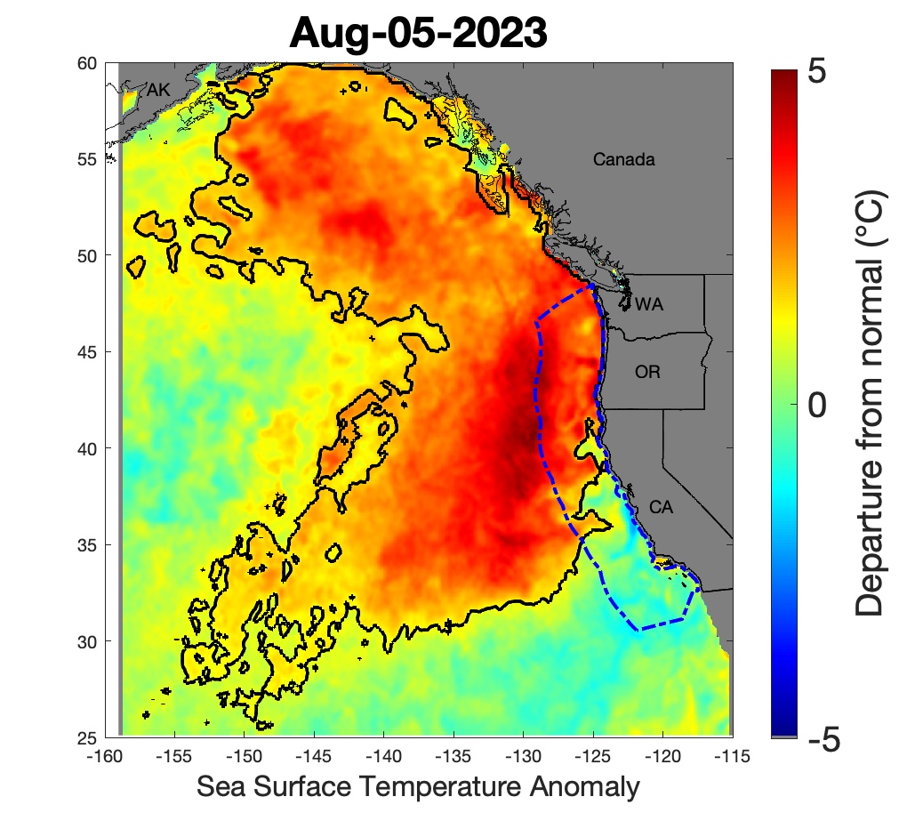 ‘Severe’ marine heat wave begins arriving in Northern California