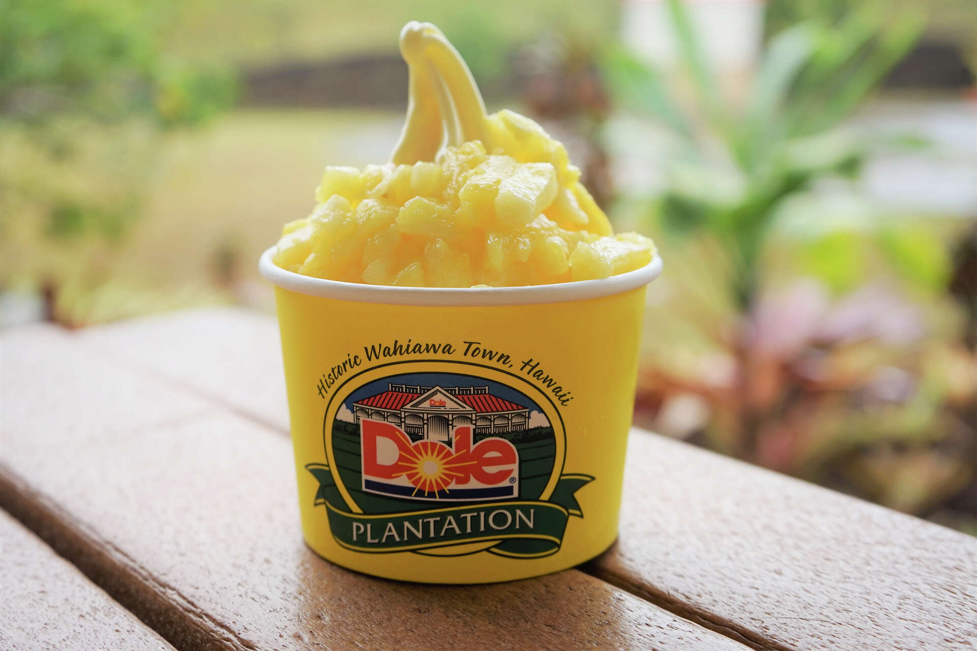 I went to the Calif. theme park with the most roller coasters in world