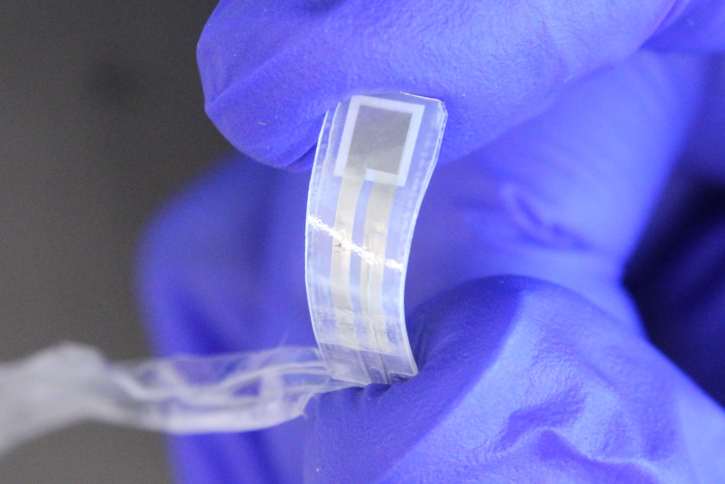 Cure for brain cancers being developed at UConn