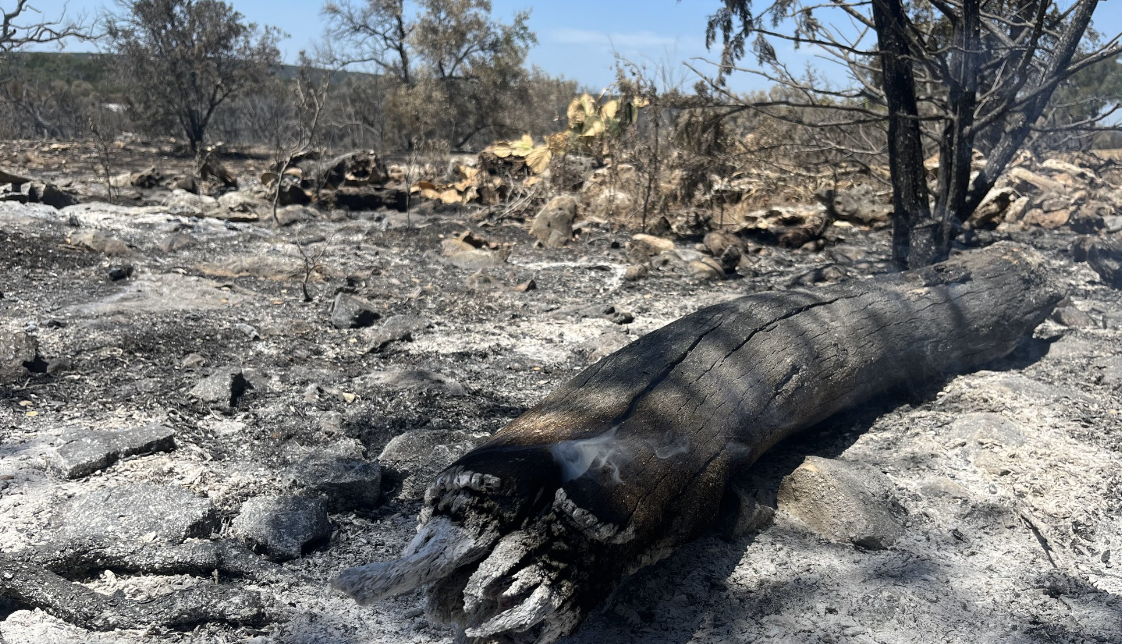 Hays County wildfire now 90 percent contained, officials say