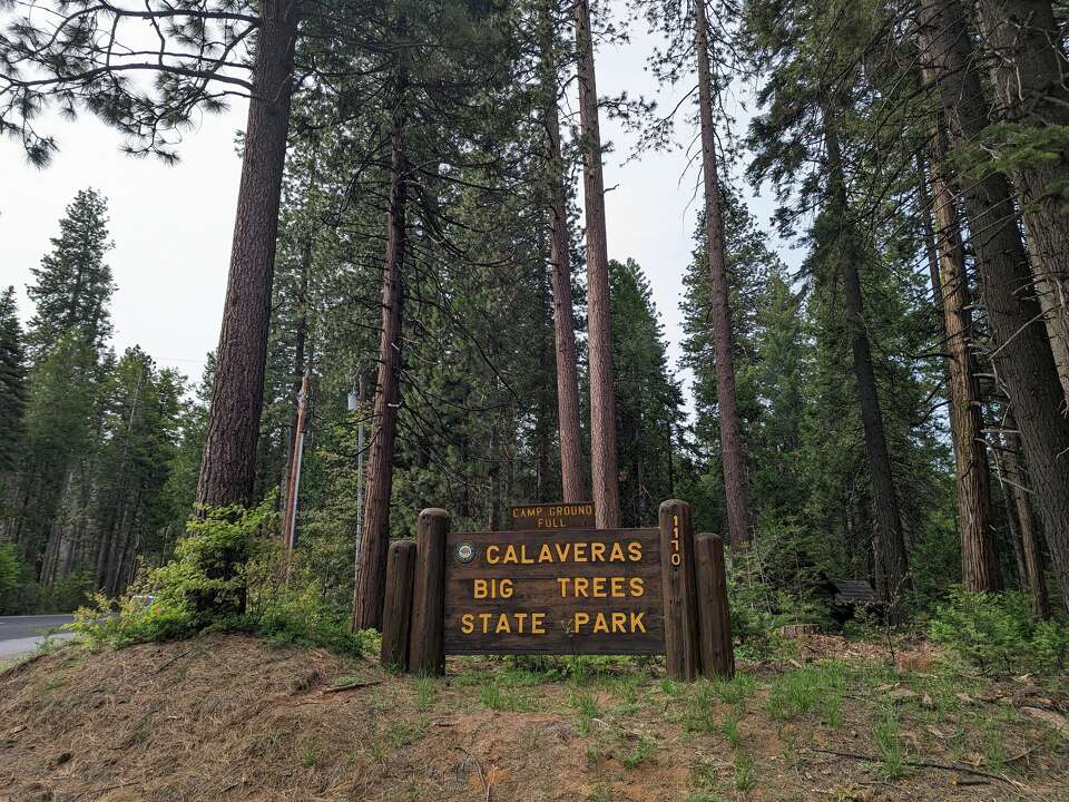 This Calif. park has giant sequoia trees without Yosemite's lines