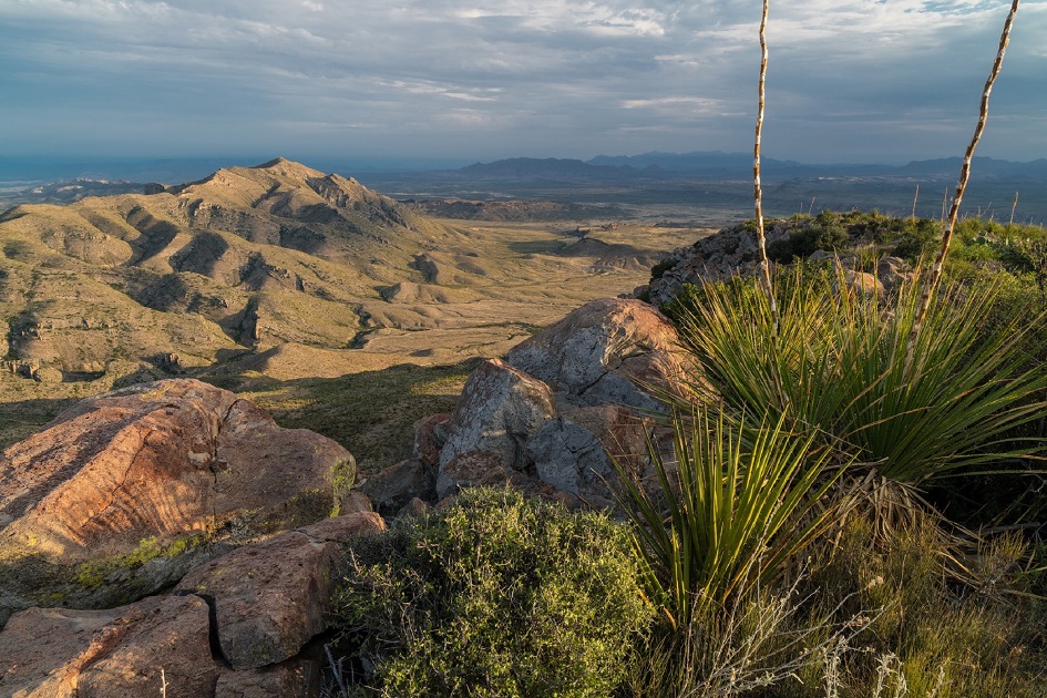 Brewster Ranch sells 5 pieces of $267M, 430k acre property