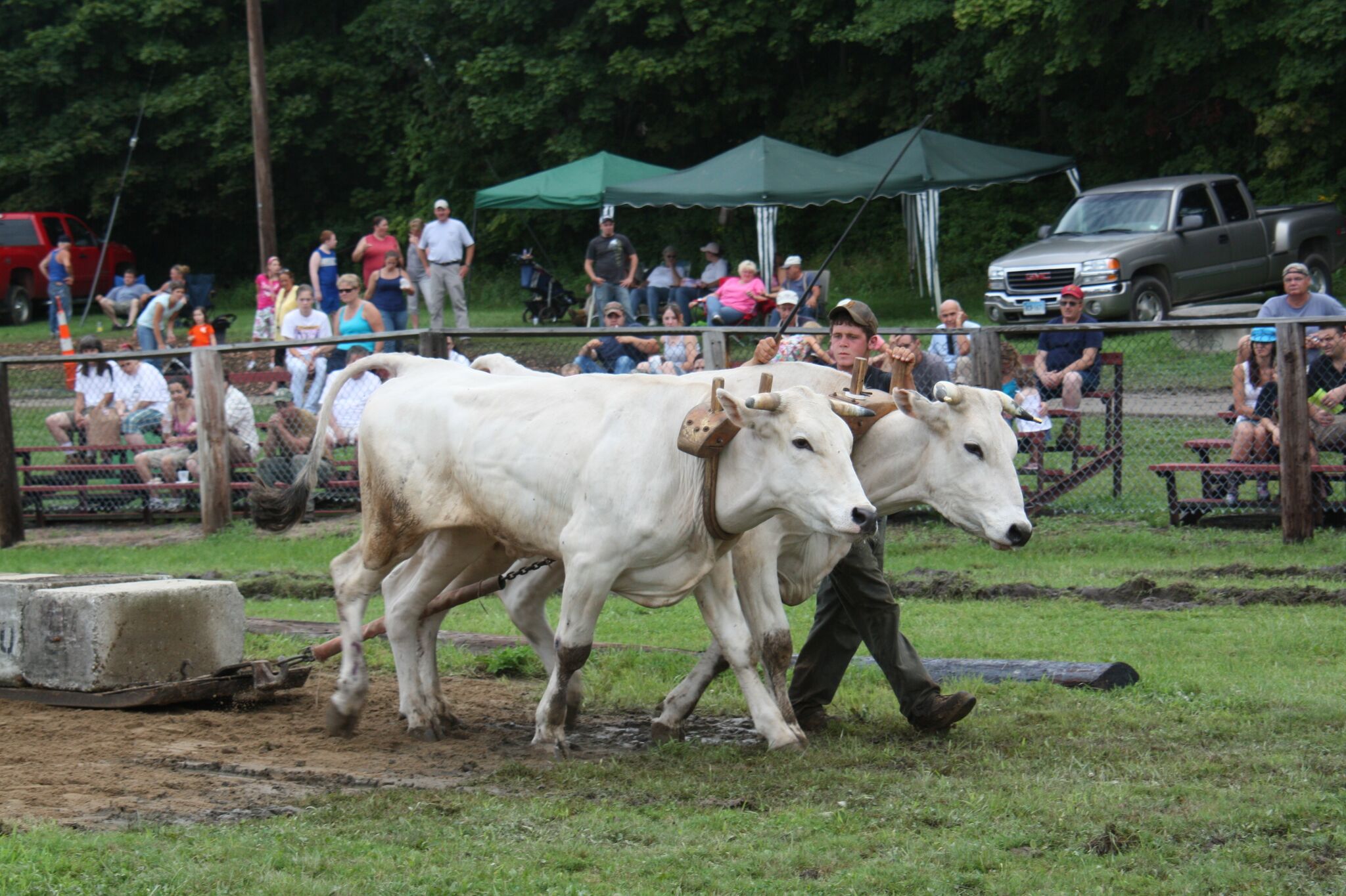 Bridgewater Country Fair sets up to celebrate its 70th year
