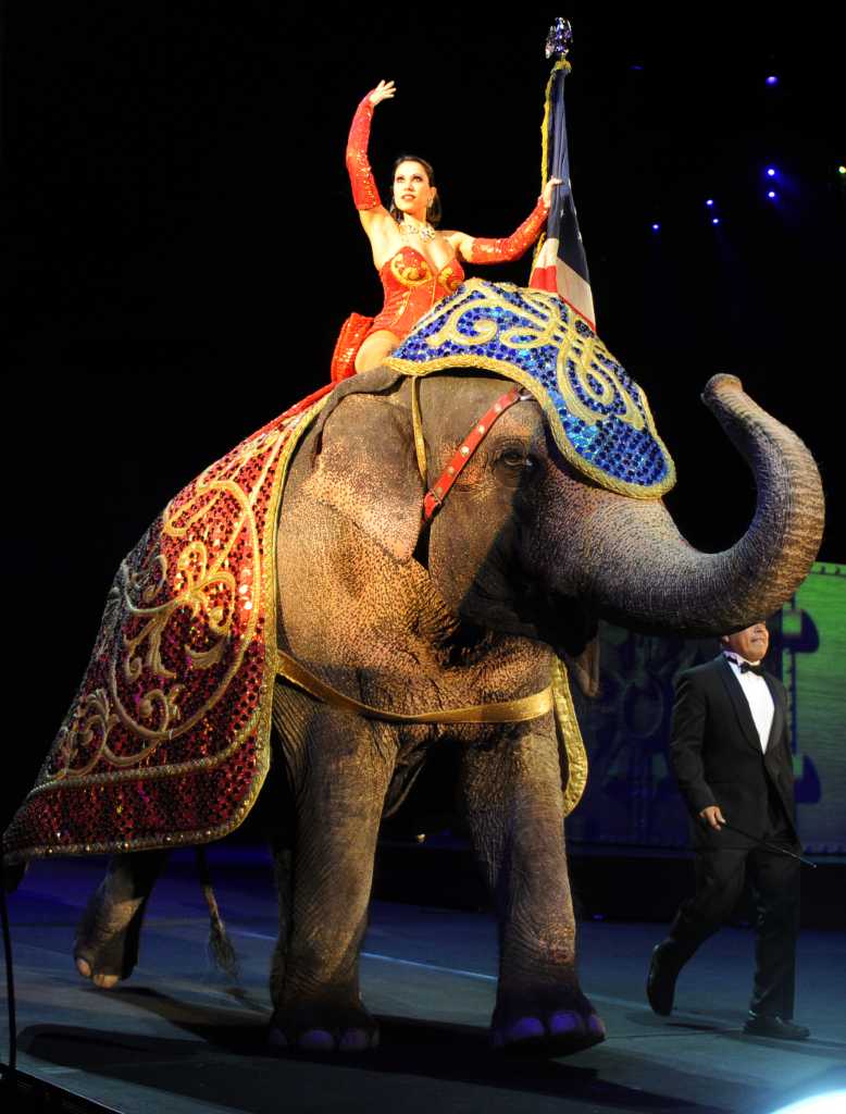 Circus comes to town