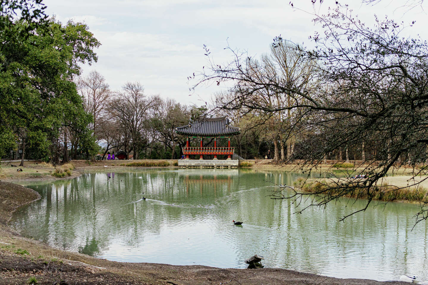 Denman Estate Park in San Antonio: A tranquil hideaway
