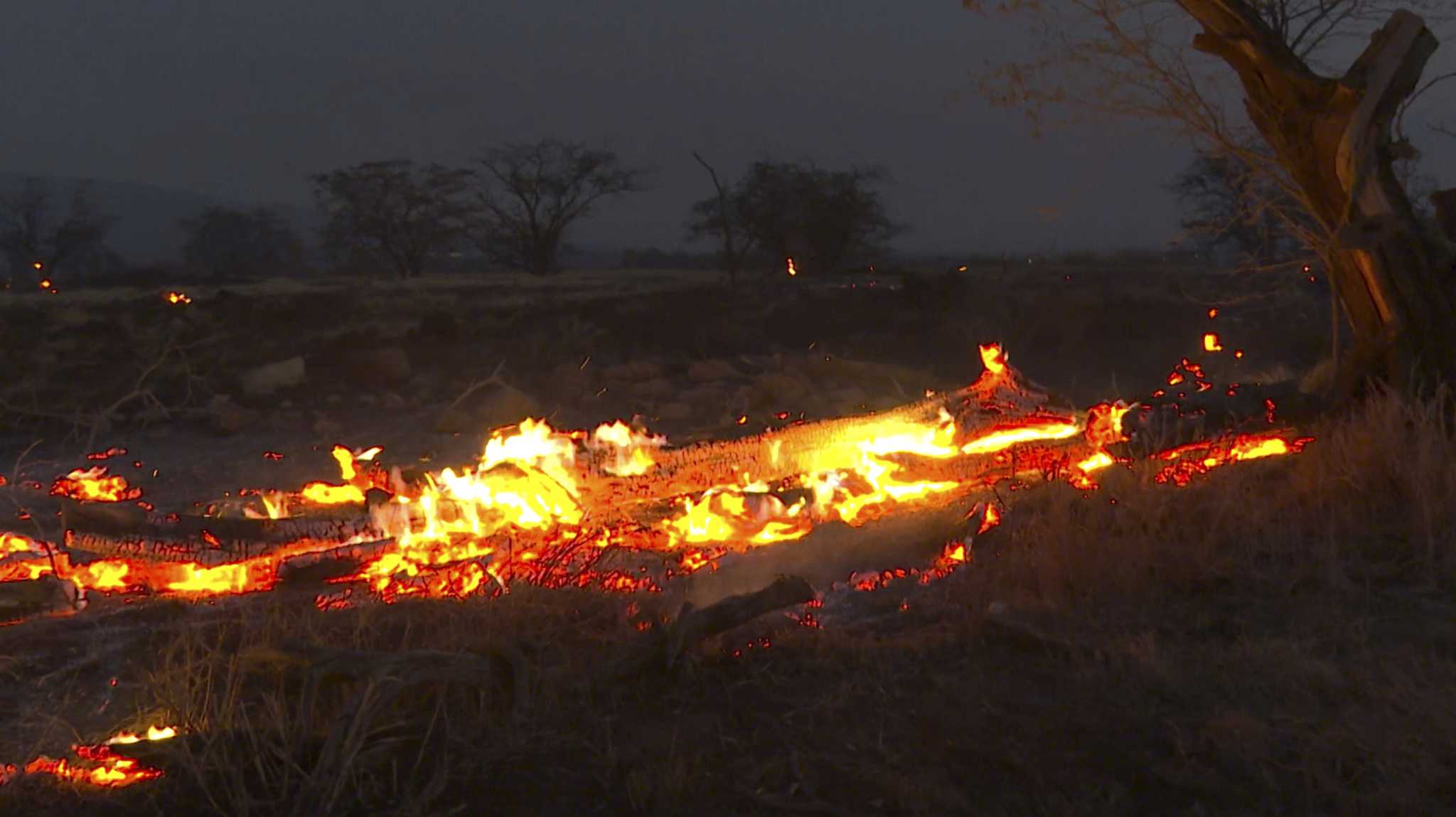 At least 36 killed in Maui wildfires