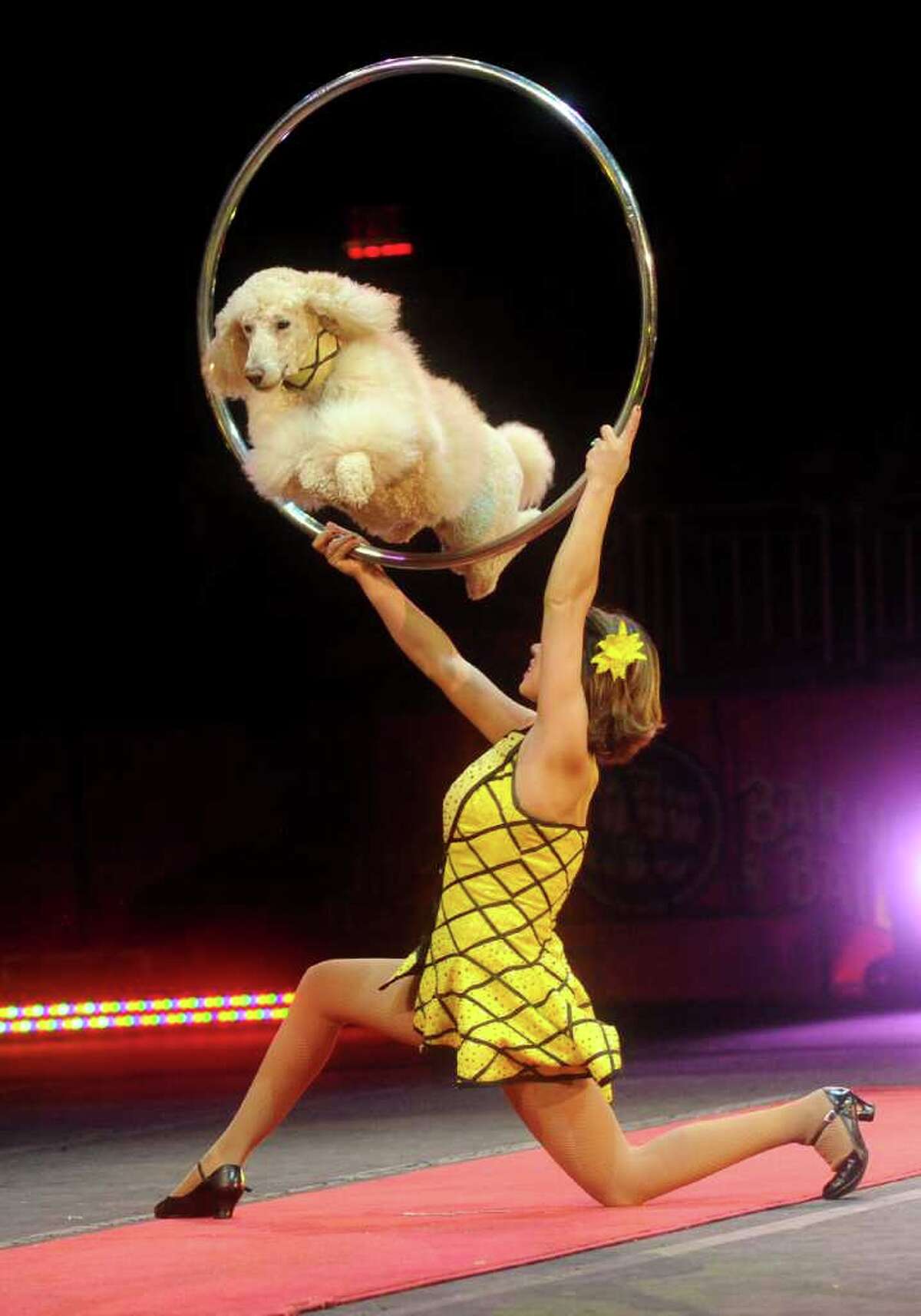Circus comes to town 'Fully Charged'