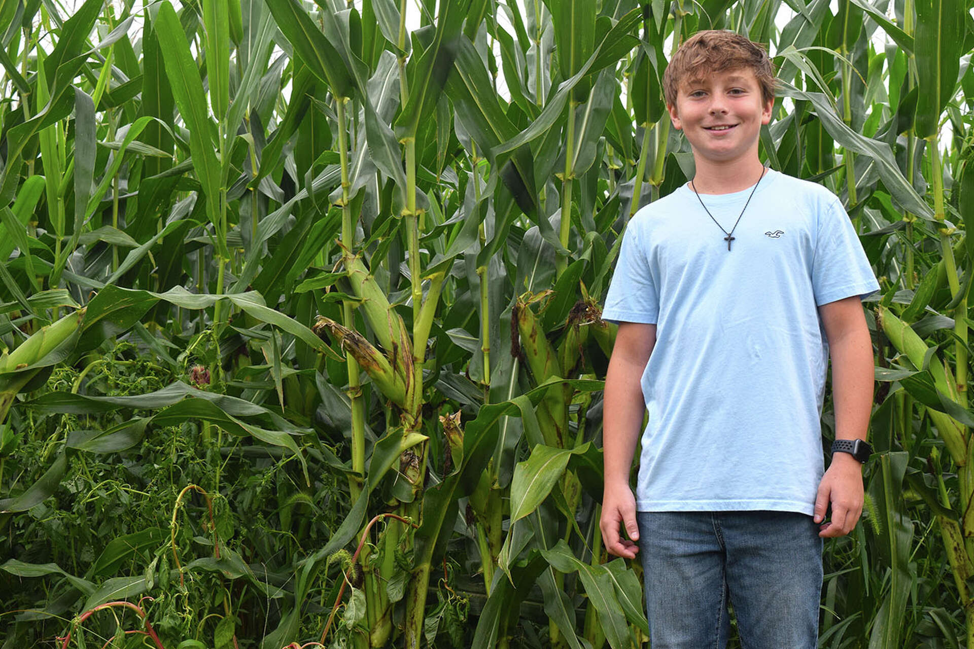 Illinois students sought for Cream of the Crop ag photo contest