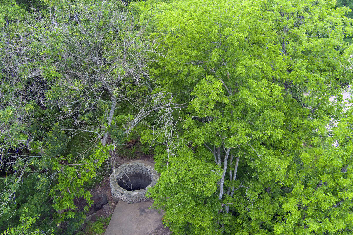 Brackenridge Park project: San Antonio sued to stop tree removals