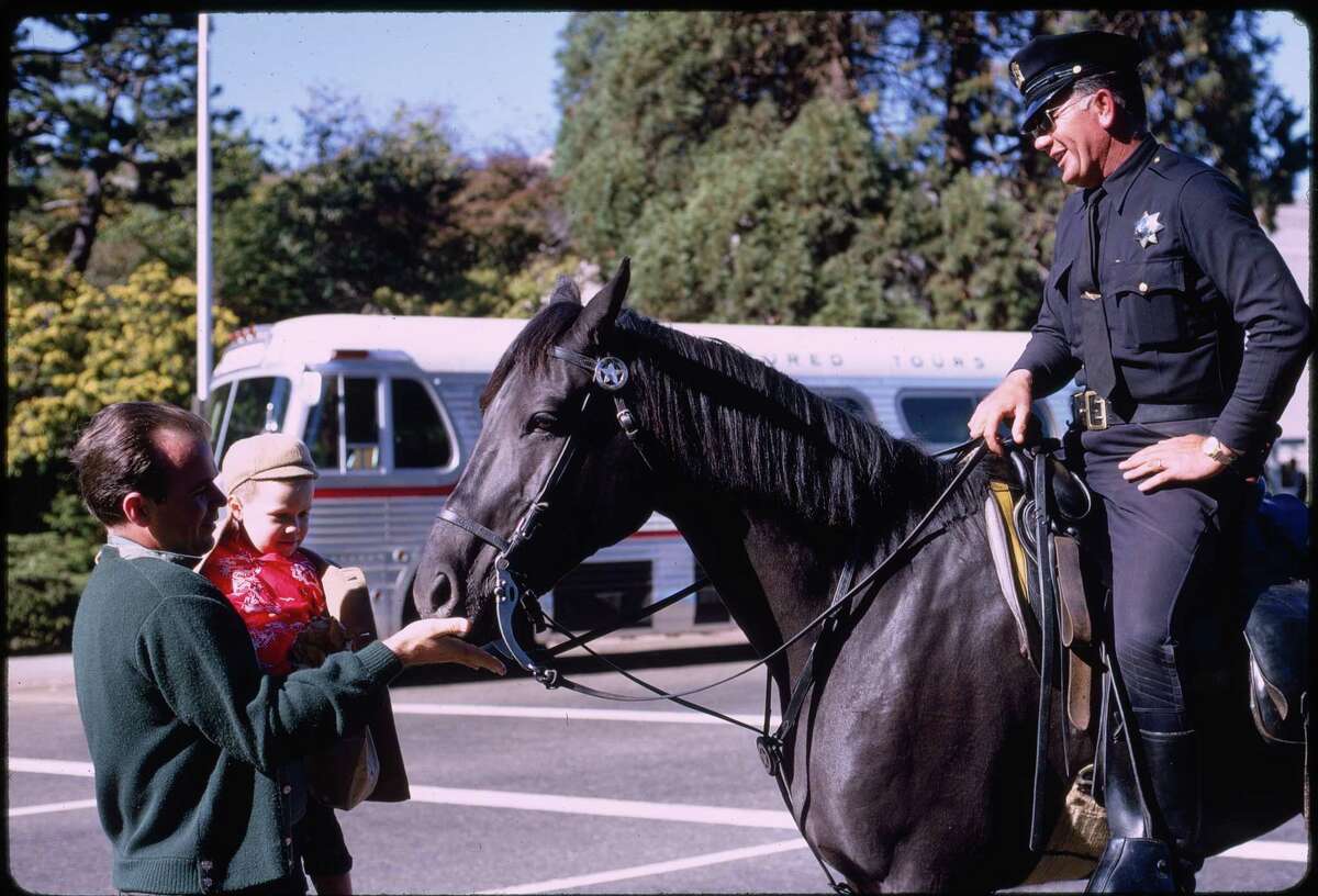 Lost 1960s photos are the start of a San Francisco mystery
