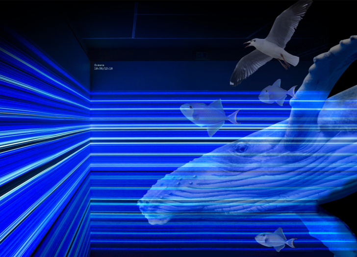 Win Tickets to The Great Animal Orchestra at the Exploratorium