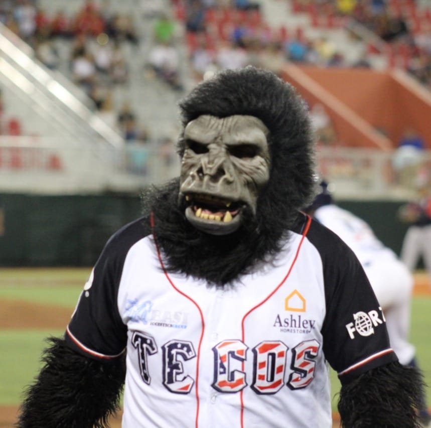 Tecolotes mascot 'Monkey' discusses career in Mexico, mischievousness