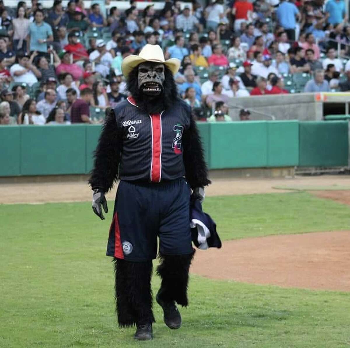 Tecolotes mascot 'Monkey' discusses career in Mexico, mischievousness