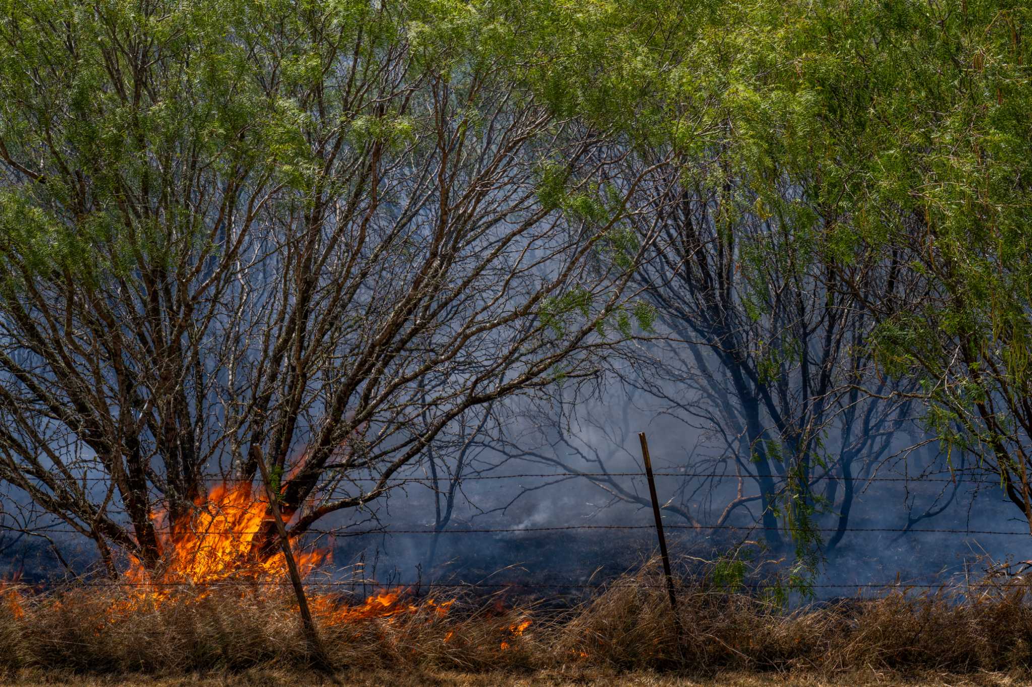 Texas, Comal County issue wildfire disaster declarations