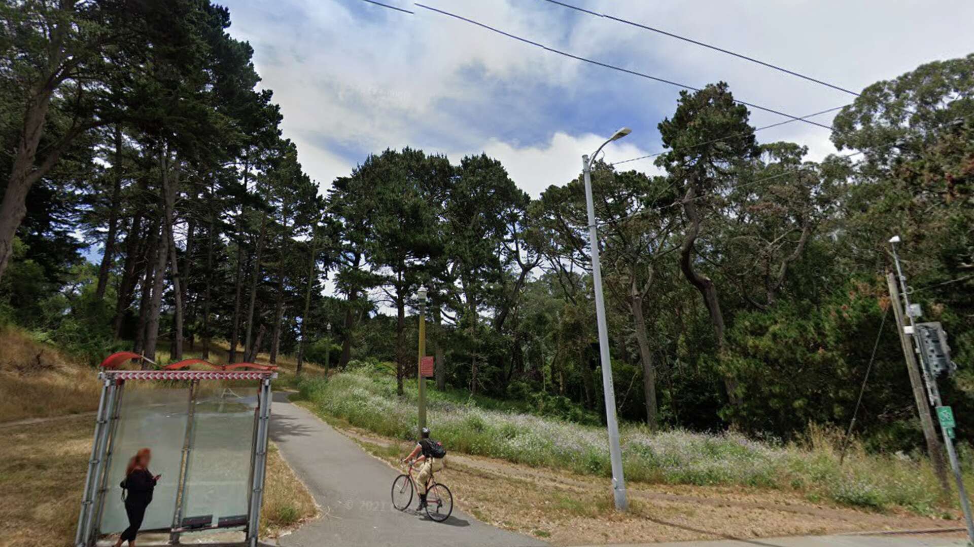 Body found in SF's Golden Gate Park near Outside Lands