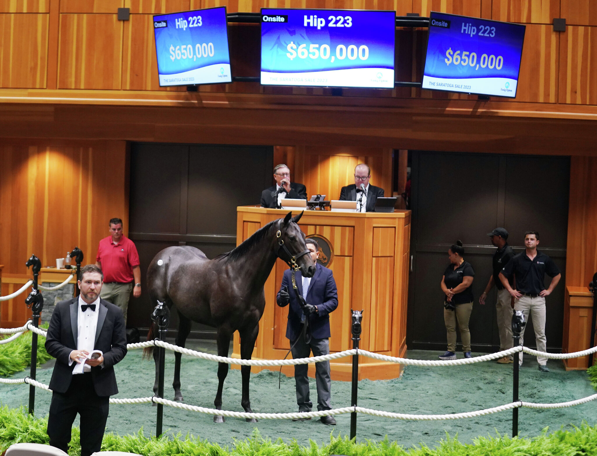Dave Portnoy buys thoroughbred racehorse