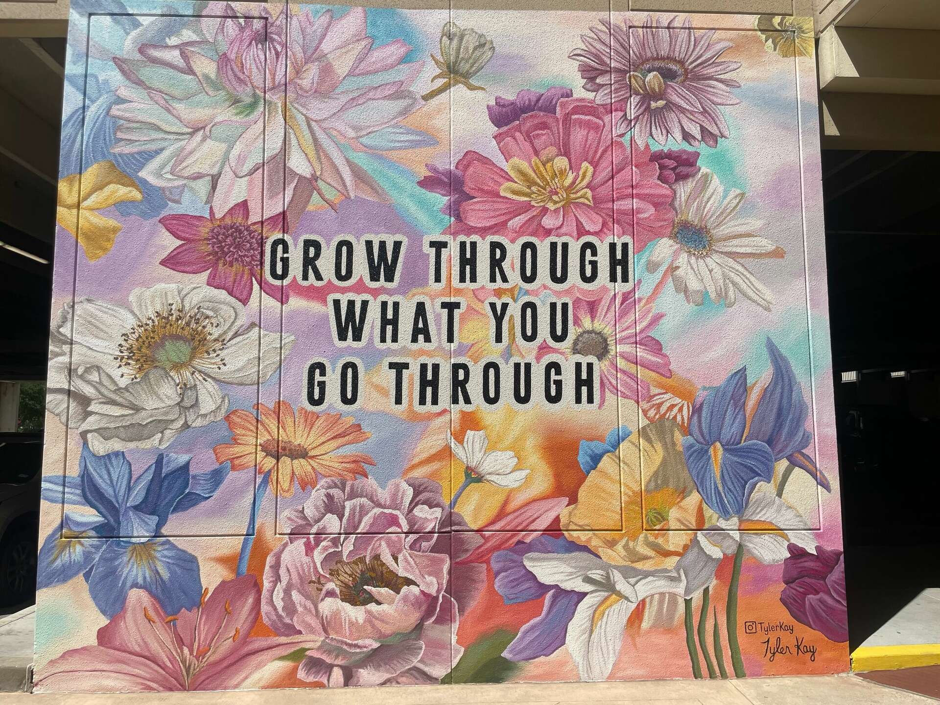 Here are the best murals in Katy and where to find them