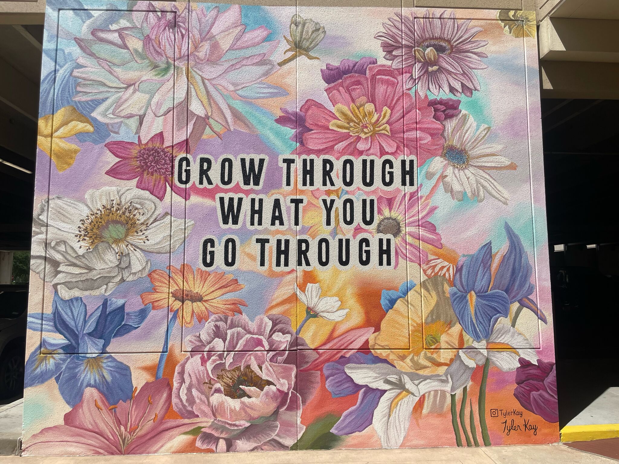 Here are the best murals in Katy and where to find them