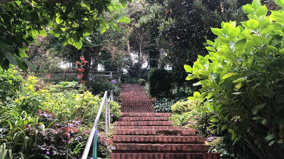 Greenwich Steps: A guide to the secret stairs to Coit Tower
