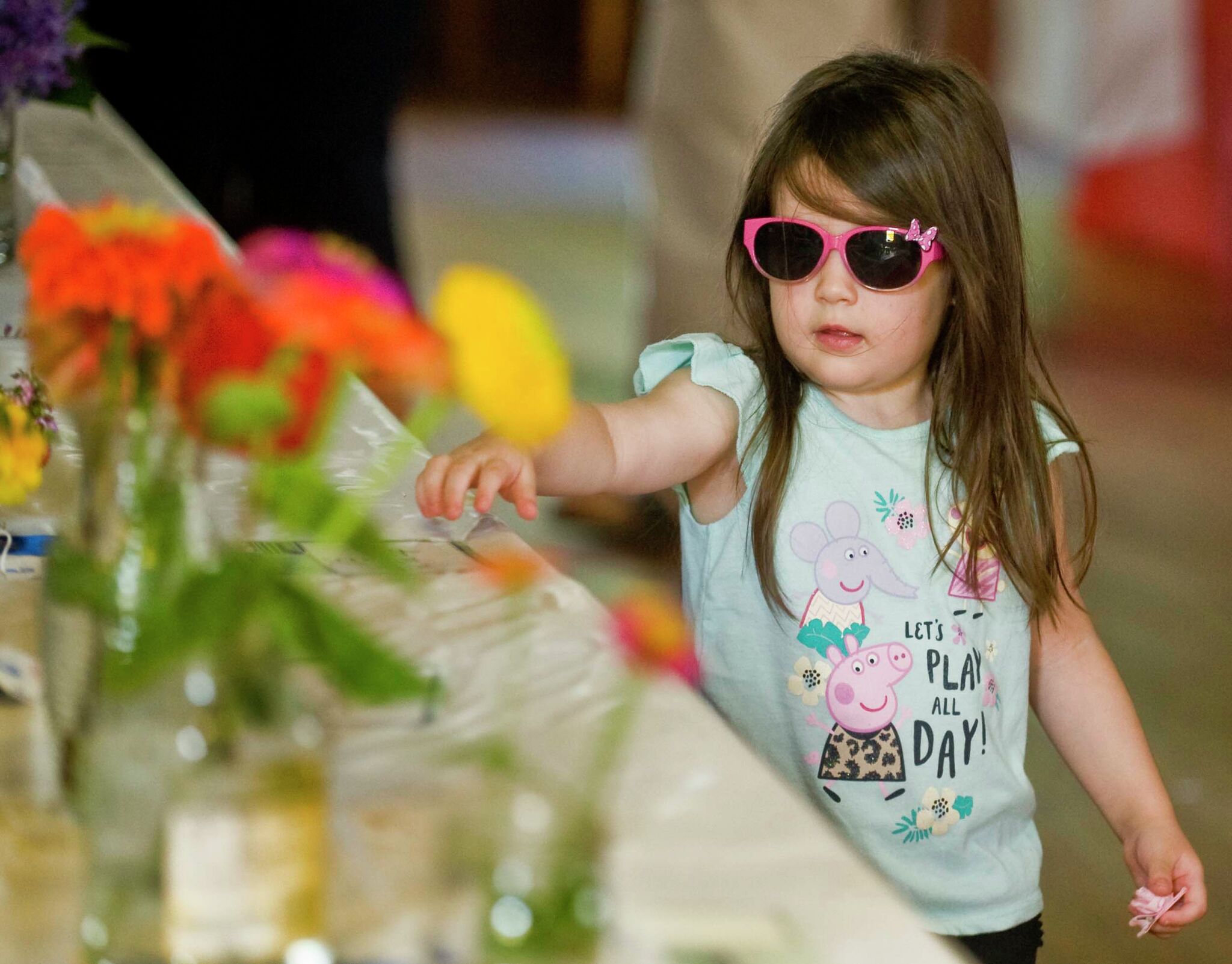 Wilton's Cannon Grange Fair puts focus on animals, crafts and more