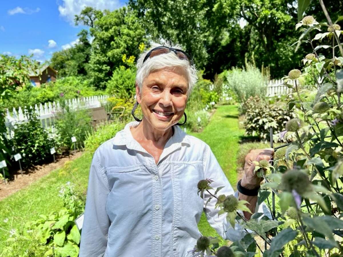 Rebecca Langer's devotion to Shaker herb garden