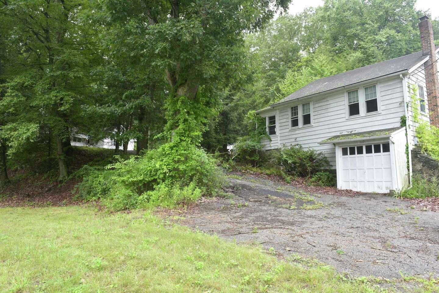 CT Humane Society to build a new Animal Resource Center in Wilton