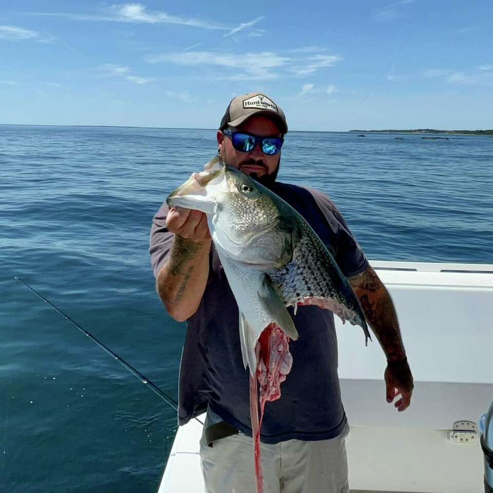 5 shark species that live in the Long Island Sound off Connecticut