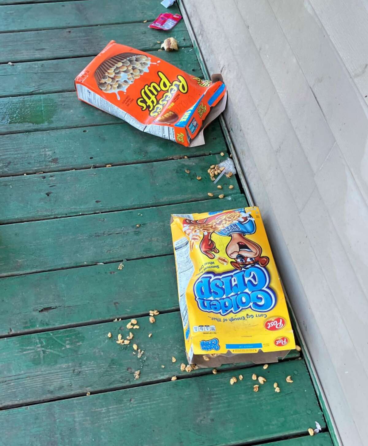 CT camp closed due to 'extreme filth' is reopening in Pennsylvania