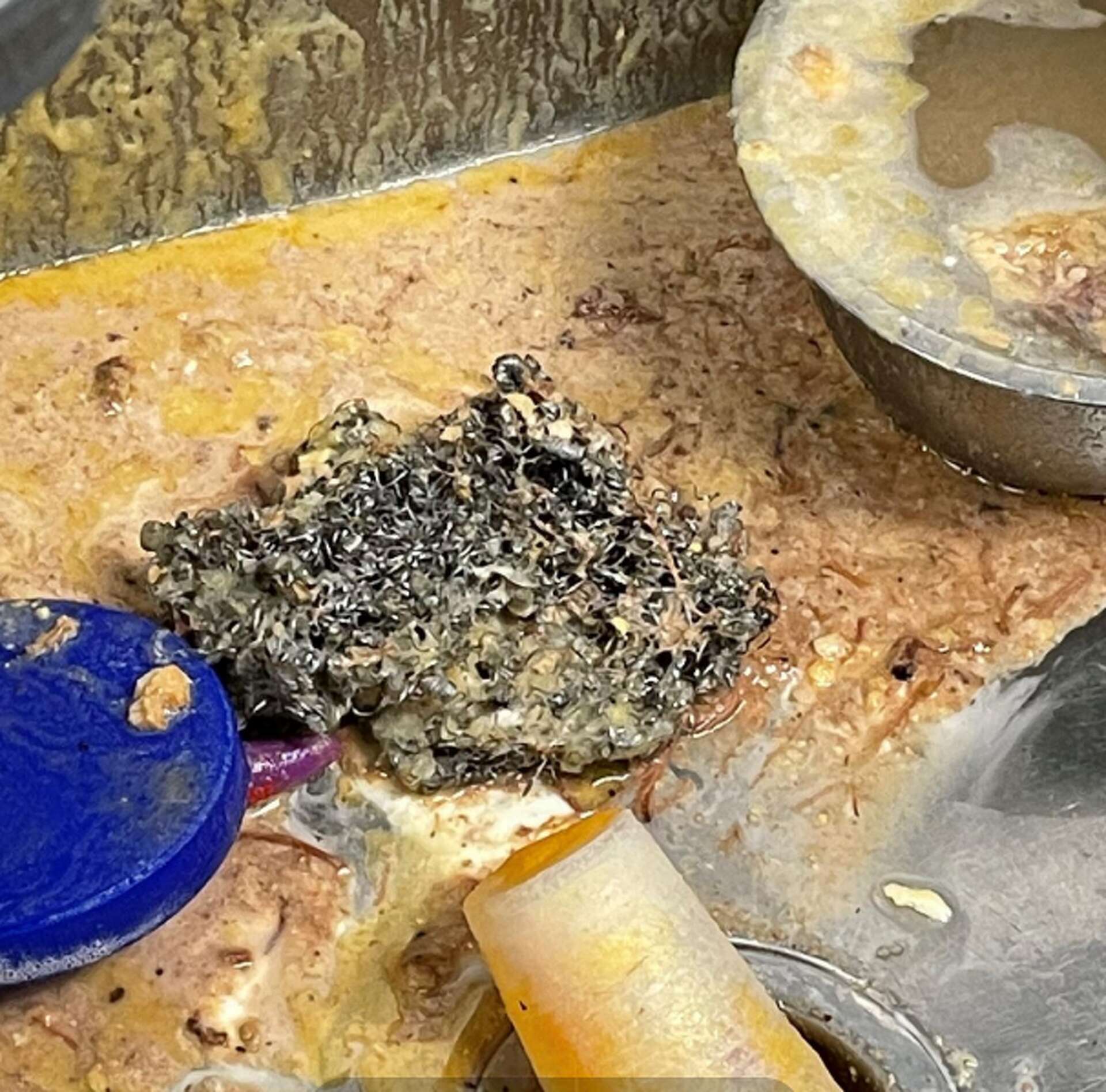 CT camp closed due to 'extreme filth' is reopening in Pennsylvania
