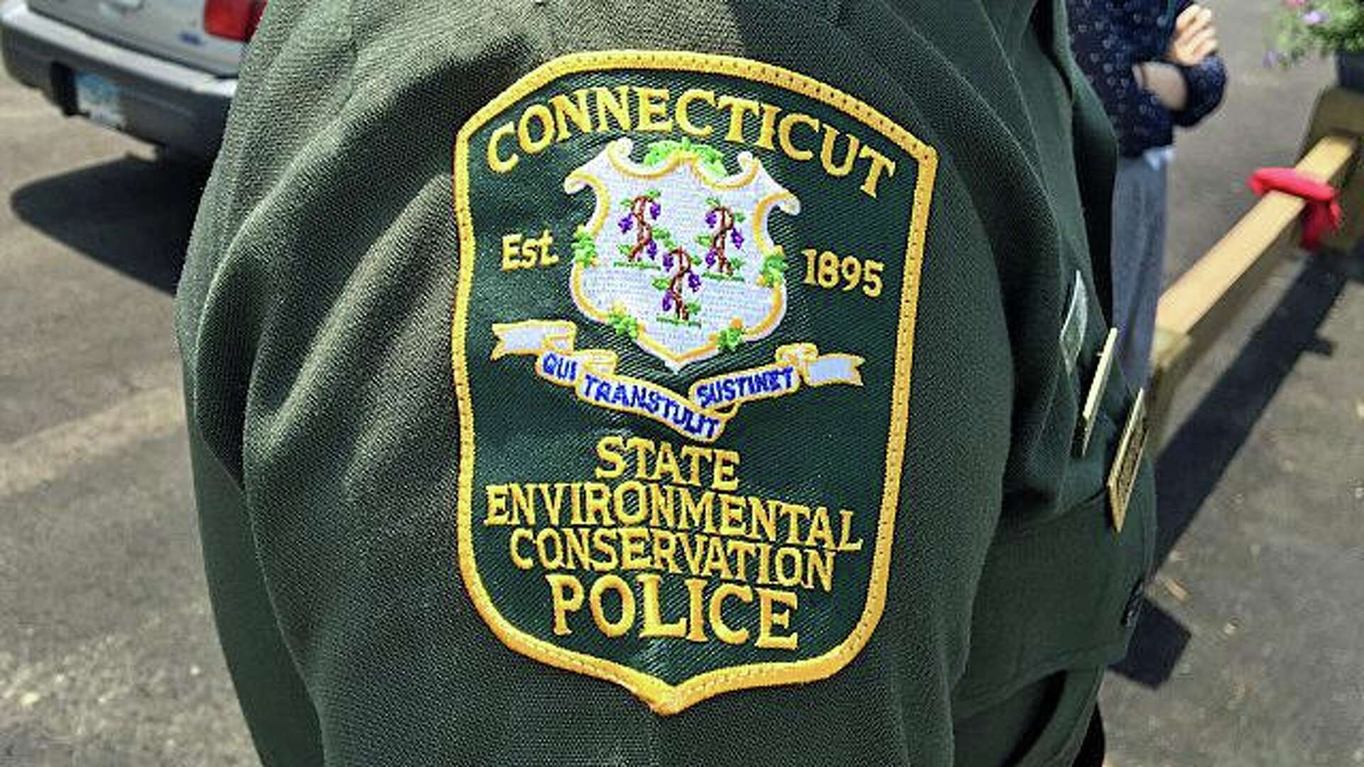 CT state forest closed for missing person search, officials say