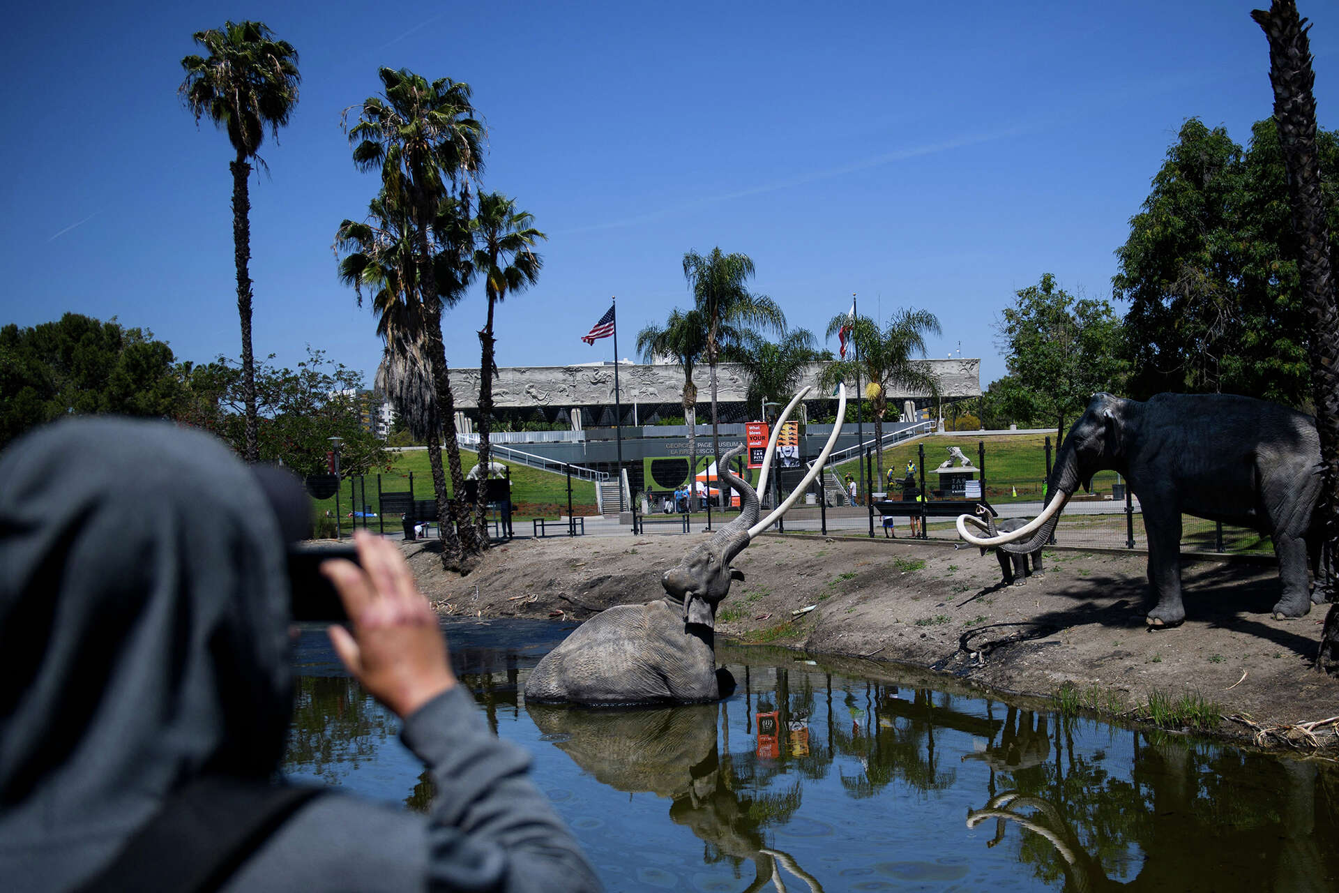 La Brea Tar Pits are still deadly, trap flock of geese