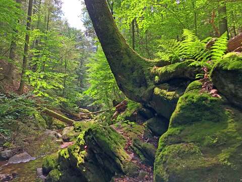 Naugatuck State Forest has unique waterfalls and amazing overlooks