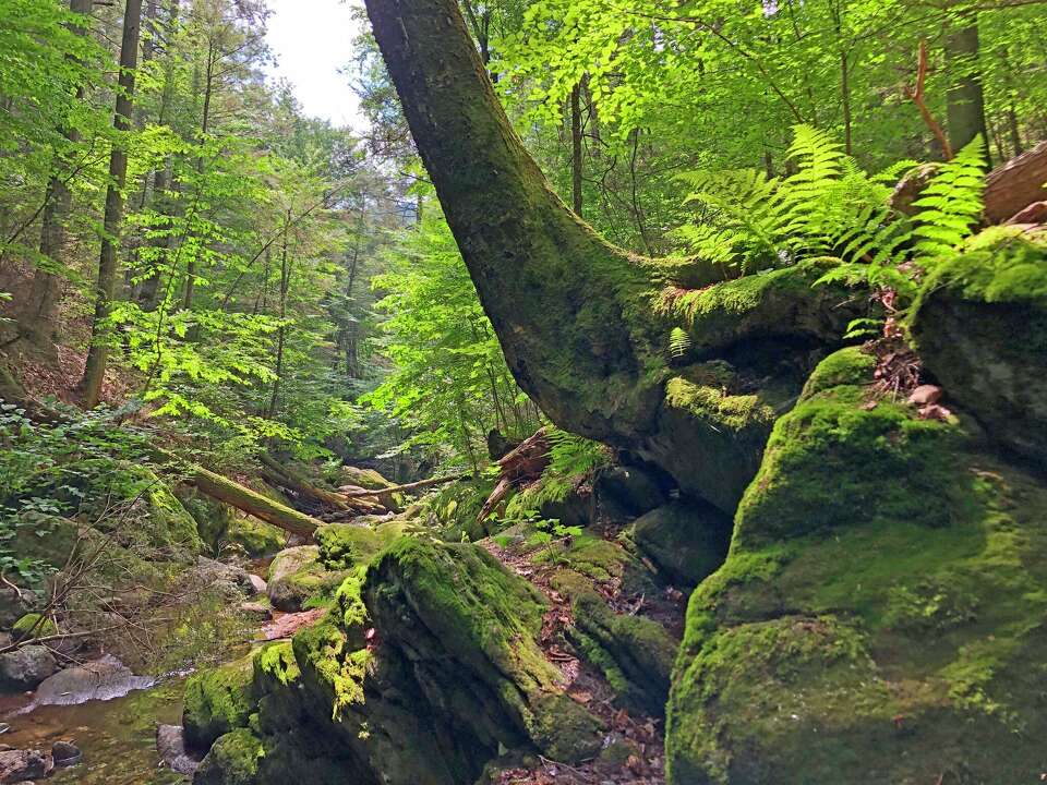 Naugatuck State Forest has unique waterfalls and amazing overlooks
