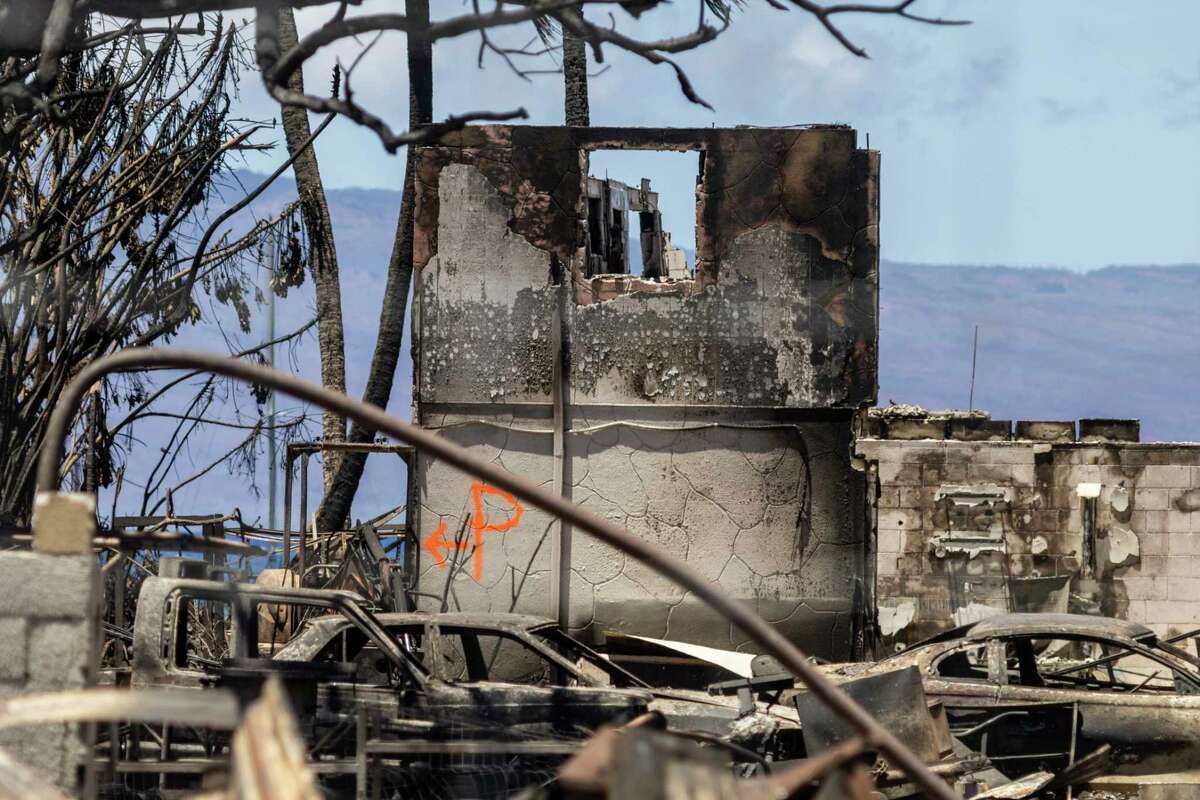 Maui fires: Nearly half of search area covered, death toll sits at 111